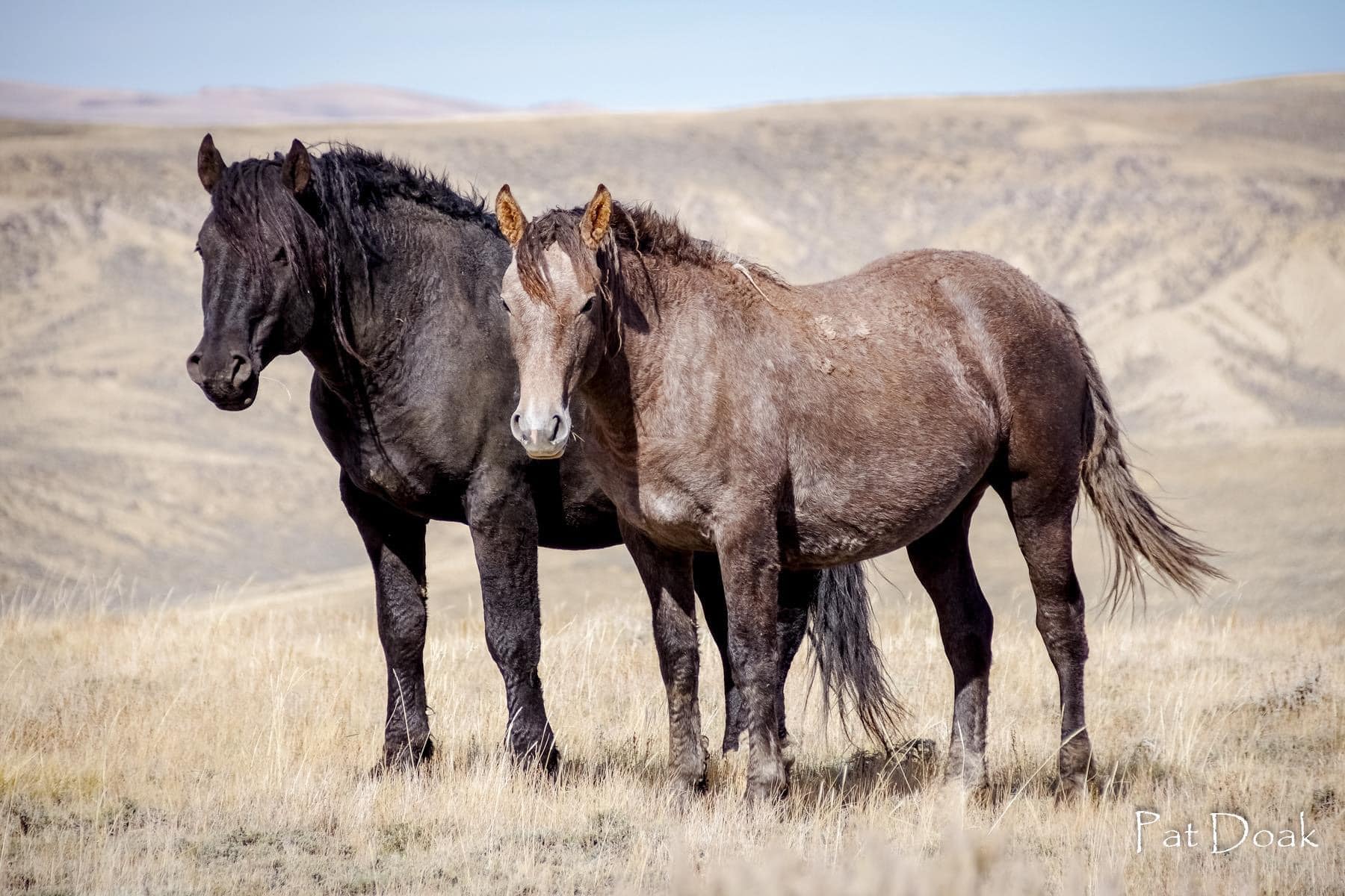 Forever Branded Invoice Form - Forever Branded