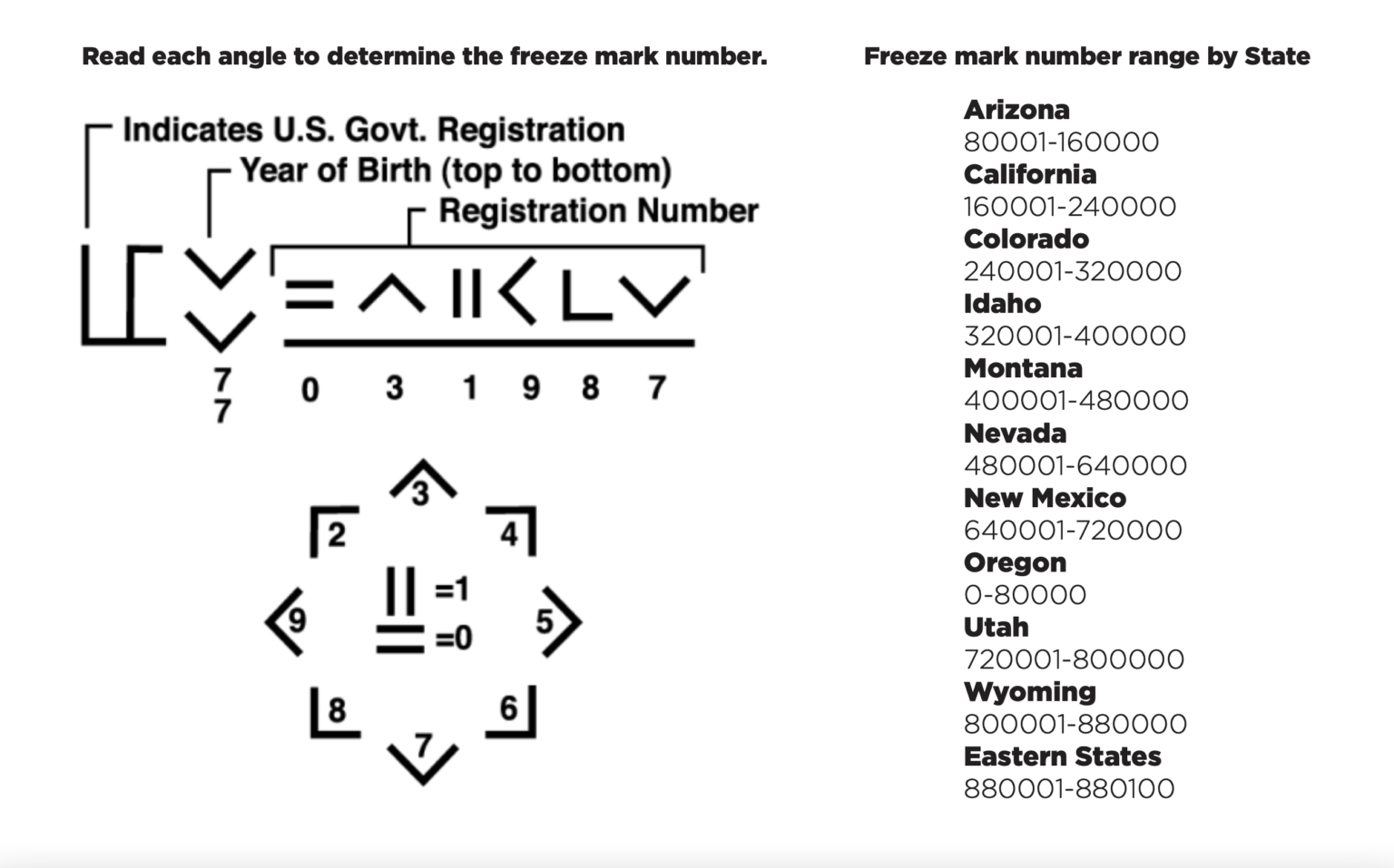 Education Center - Forever Branded