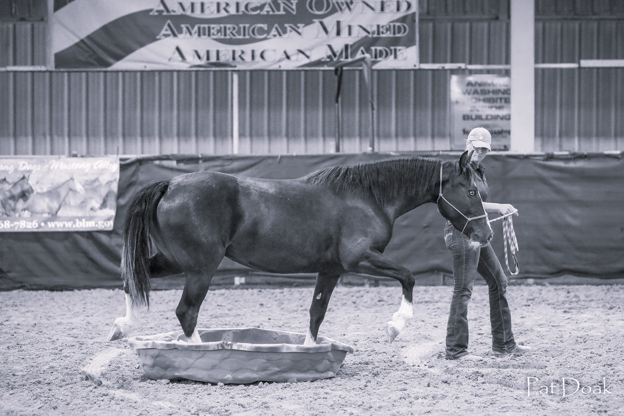 Program Hub - Forever Branded