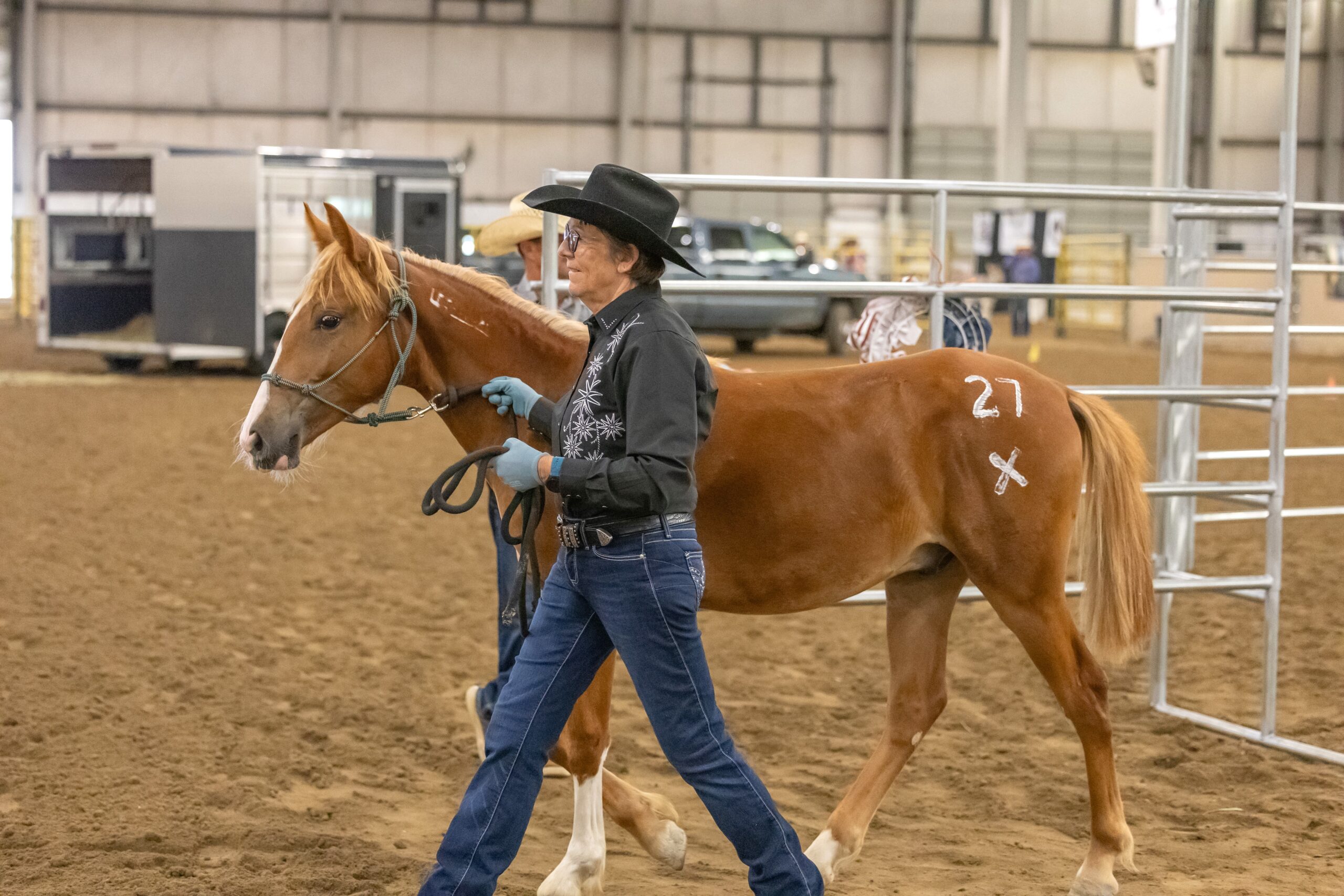 Branded Bonanza Auction Registration - Forever Branded